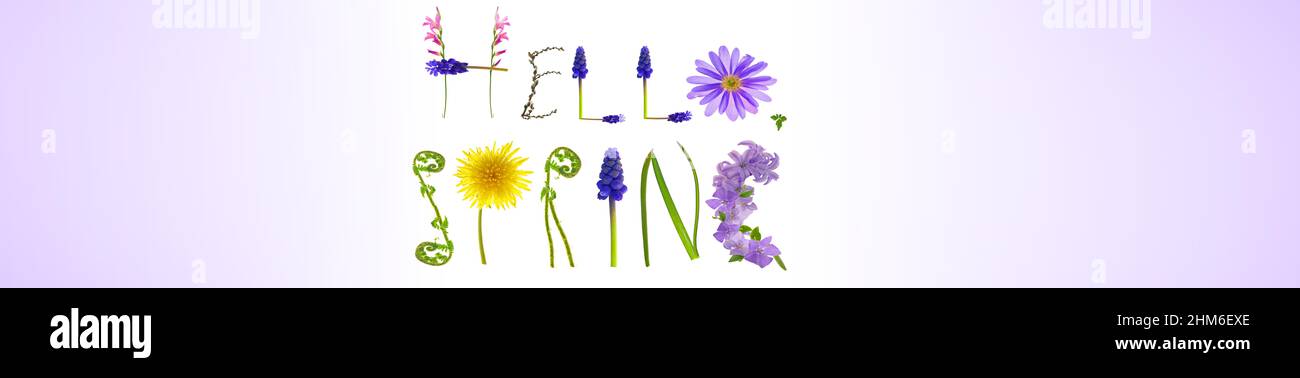 Hello spring.Floral letters isolated on white background with purple ...