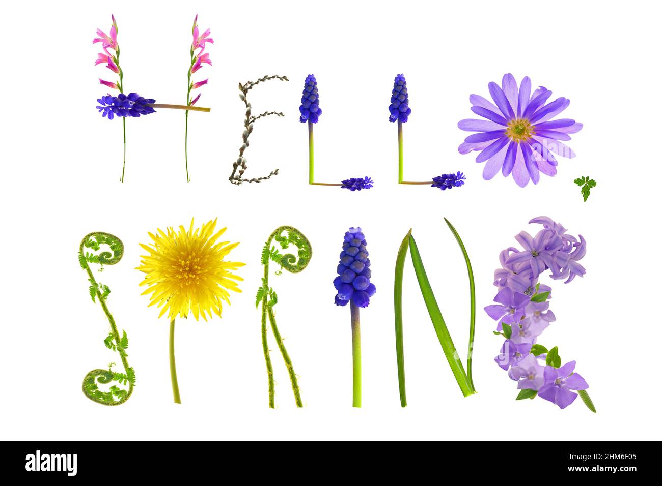Hello spring.Floral letters isolated on white background . Spring ...