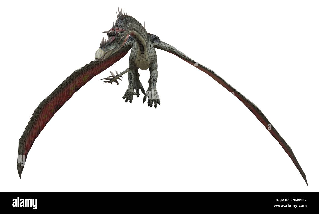 3D illustration fantasy flying dragon isolated on white Stock Photo - Alamy