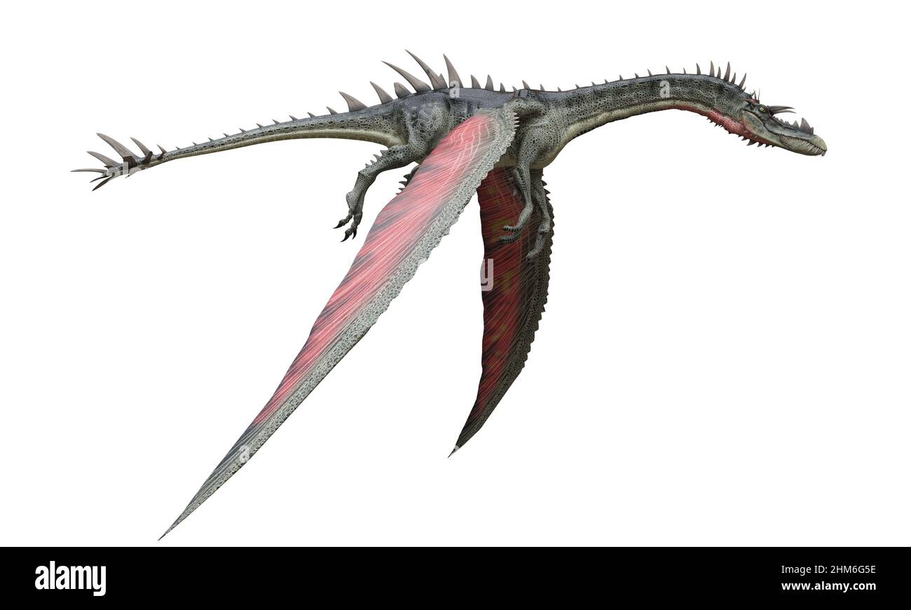 3D illustration fantasy flying dragon isolated on white Stock Photo - Alamy