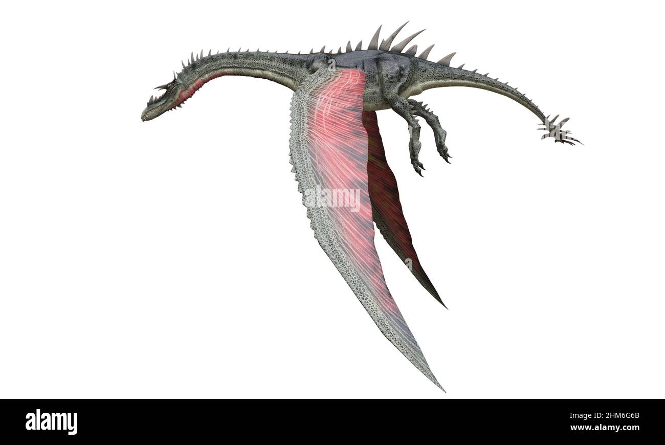 3D illustration fantasy flying dragon isolated on white Stock Photo - Alamy