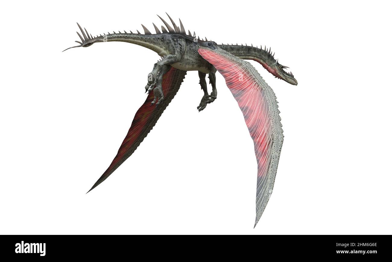 3D illustration fantasy flying dragon isolated on white Stock Photo - Alamy