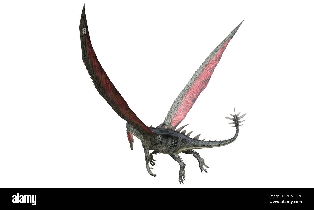3D illustration fantasy flying dragon isolated on white Stock Photo - Alamy
