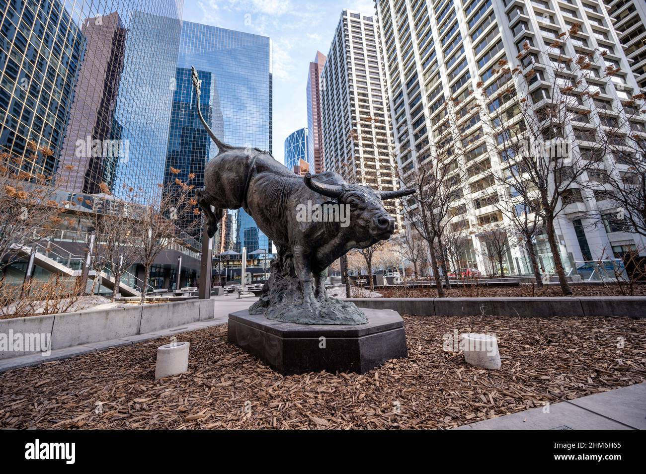 Calgary, Albert a - February 6, 2022: View of the famous rodeo bull ...