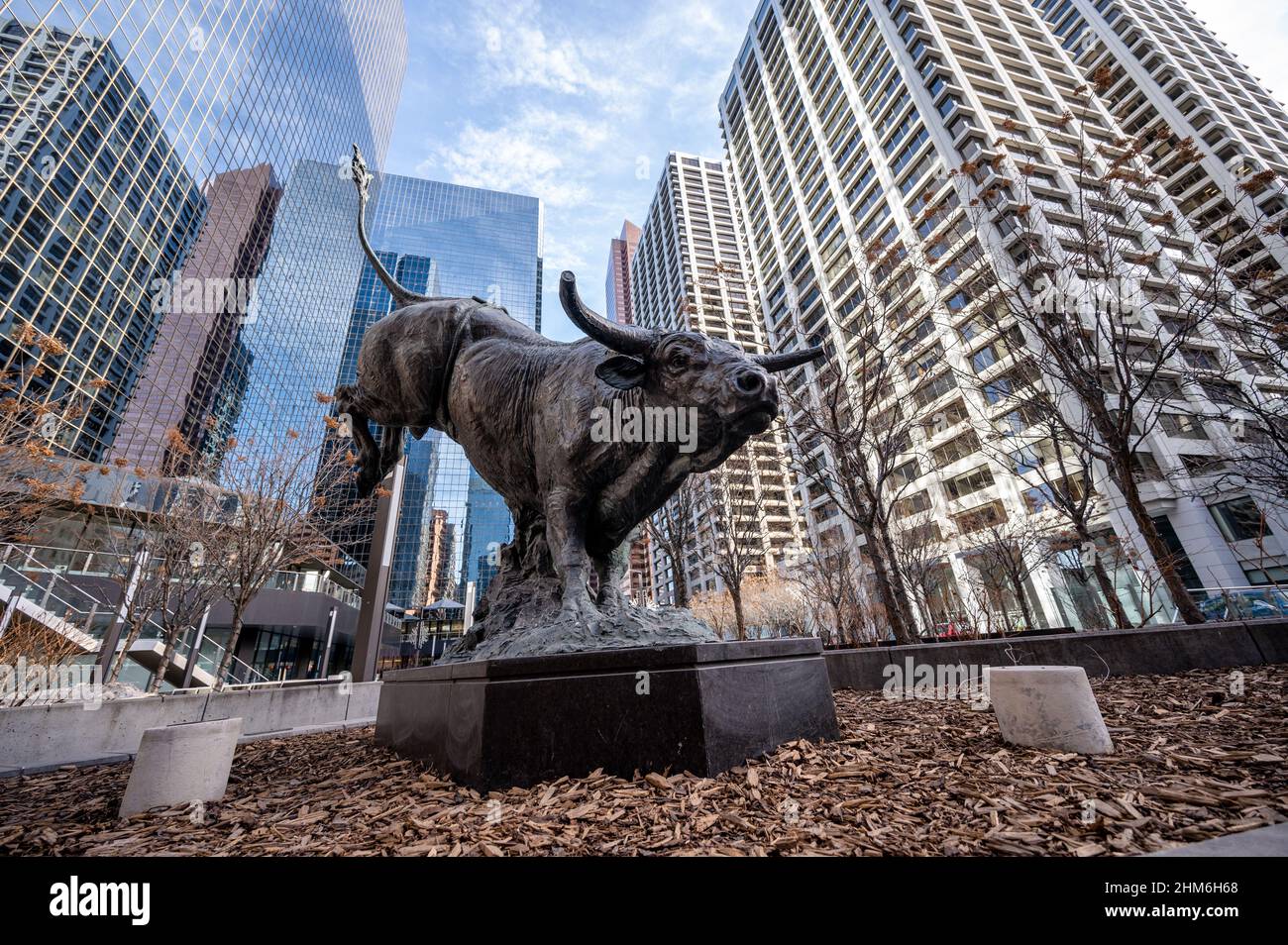 Calgary, Albert a - February 6, 2022: View of the famous rodeo bull ...