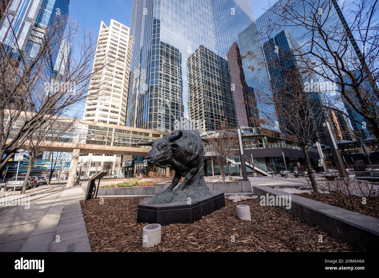 Calgary, Albert a - February 6, 2022: View of the famous rodeo bull ...