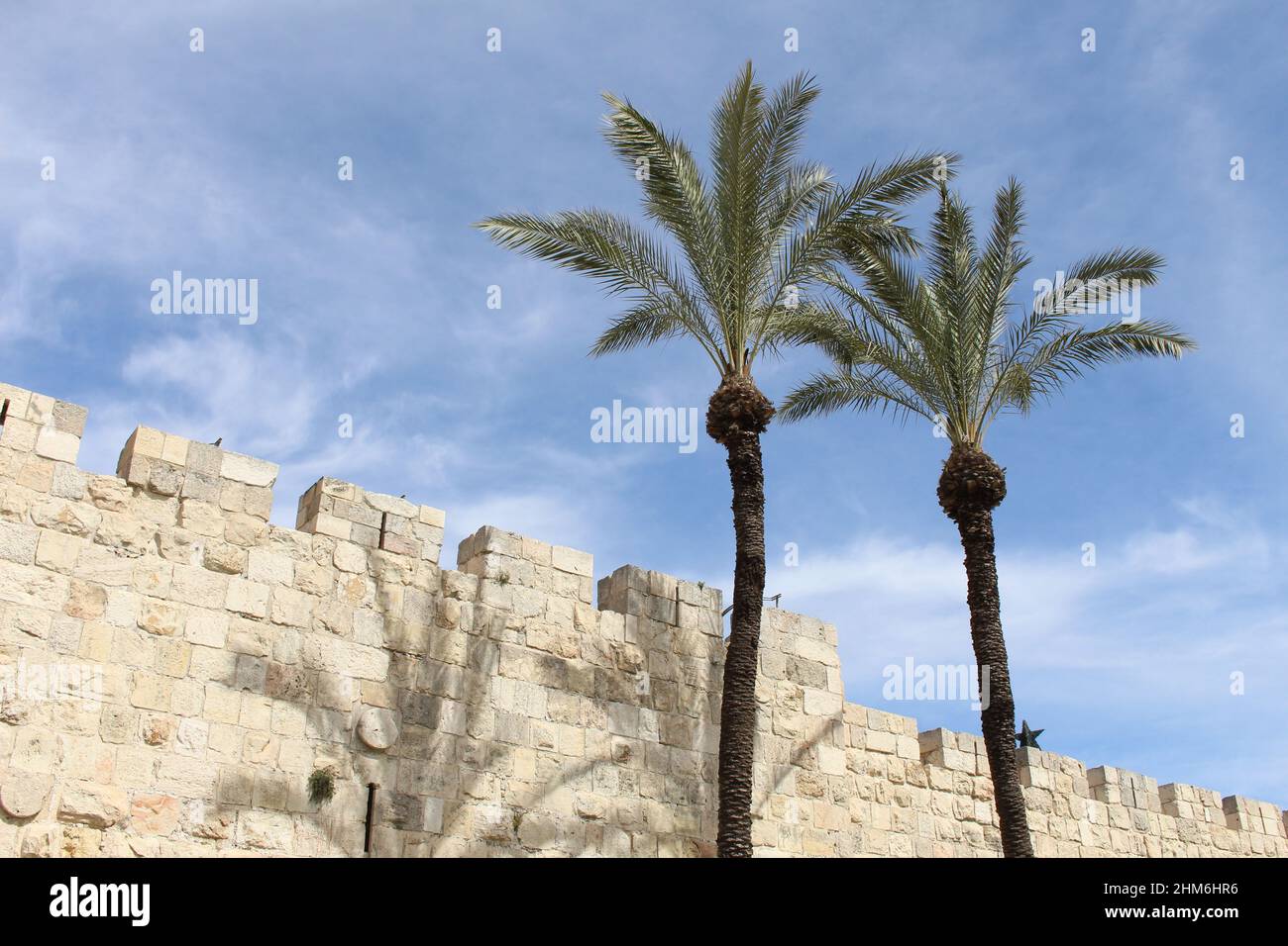 Aged building wall and palm trees in Jerusalem, Israel Stock Photo - Alamy