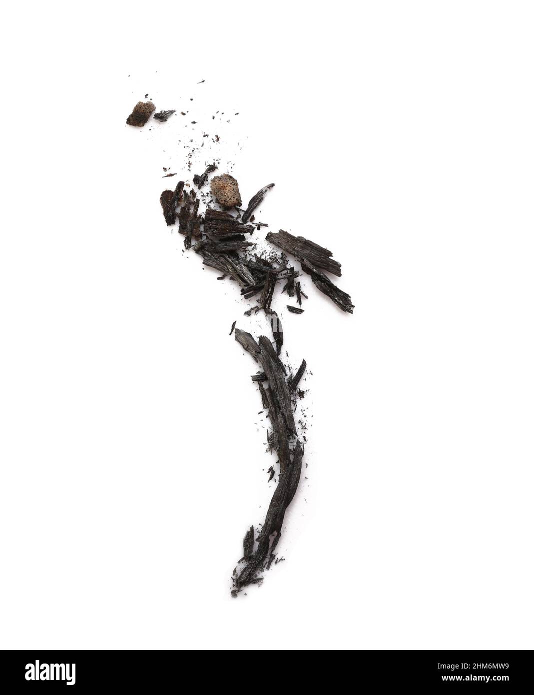 Completely burnt match on white background. Emotional burnout concept ...