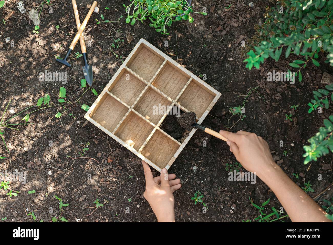 Putting soil hi-res stock photography and images - Alamy
