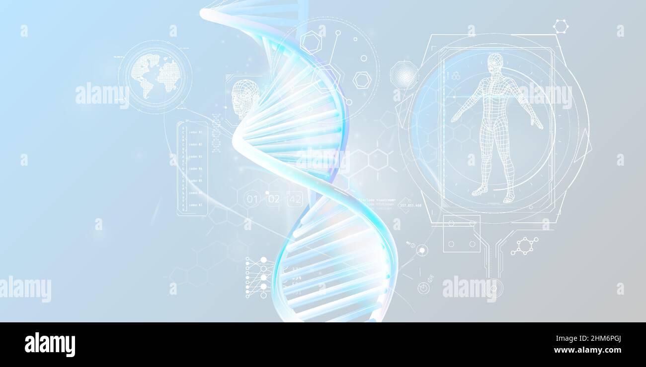 DNA double helix and human research infographic data Stock Vector Image ...
