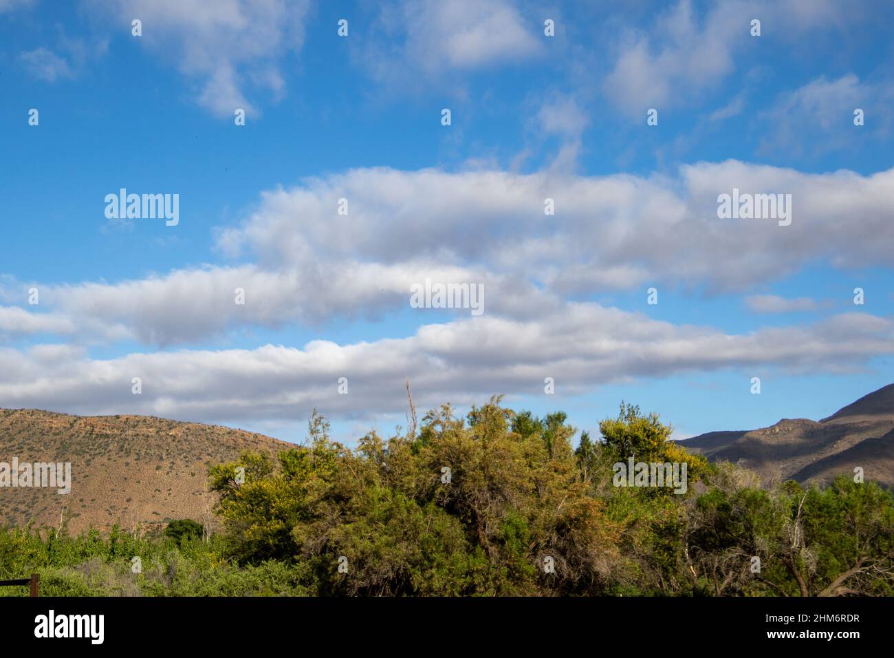 A fertile green valley in the Vleiland area in the Laingsburg district ...