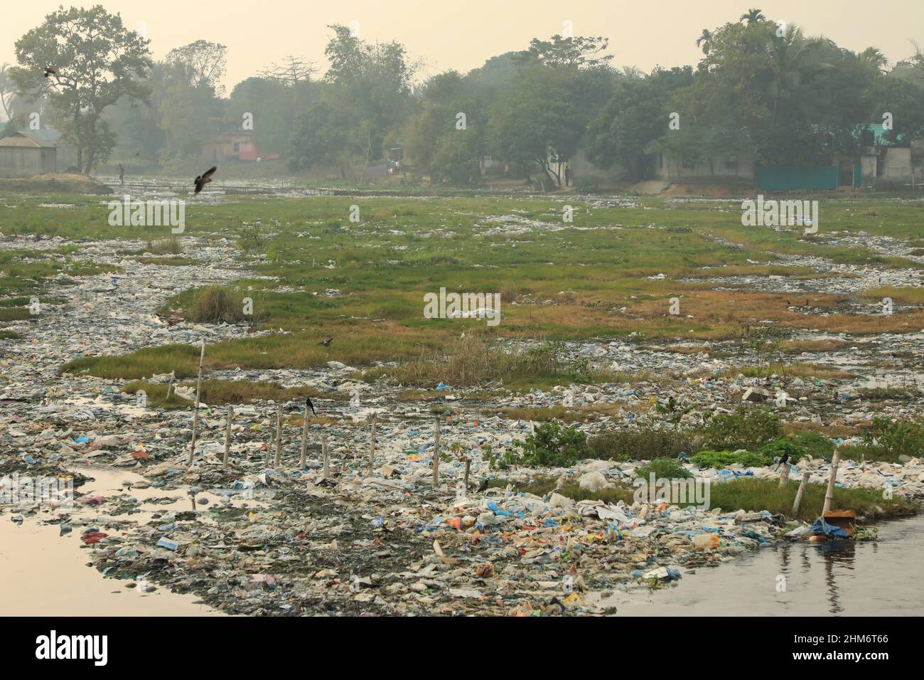Plastic waste on an agricultural field in Gazipur. (Photo by Md Manik ...