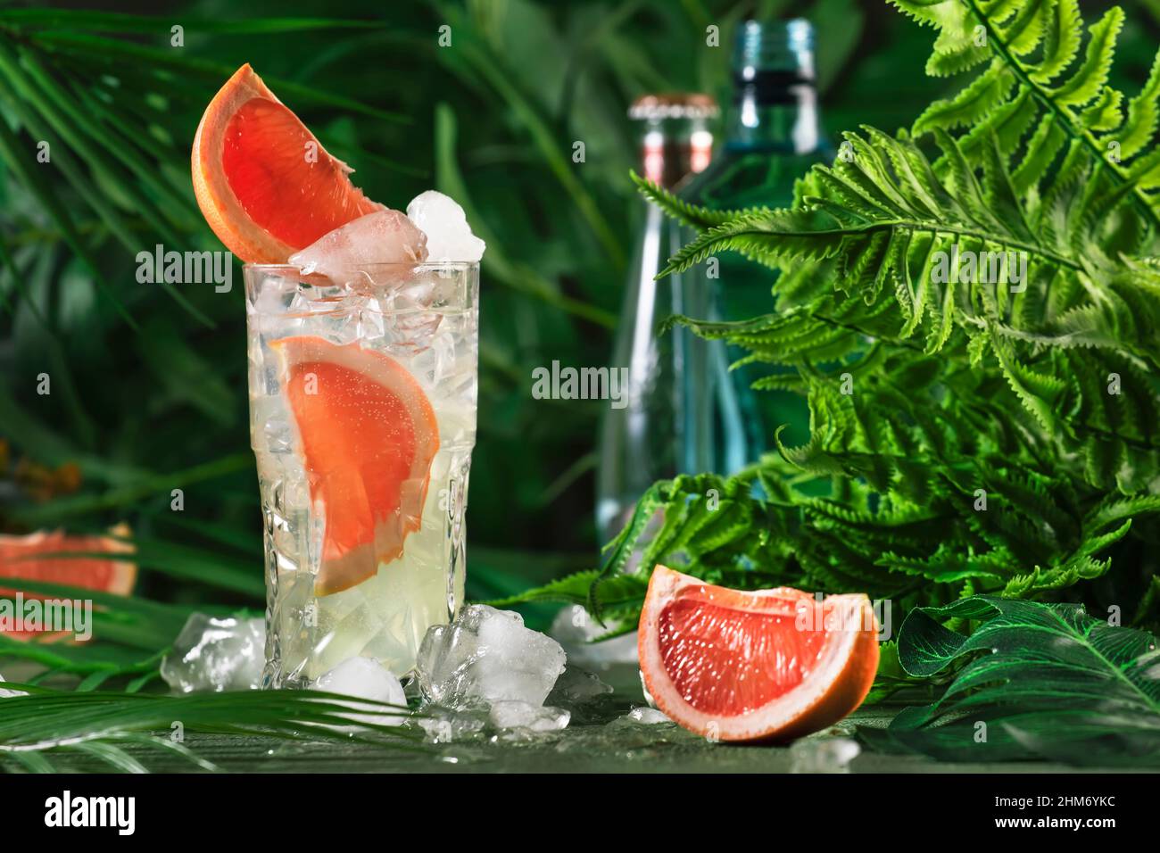 Gin bitter lemon alcoholic long drink cocktail with dry gin, tonic ...