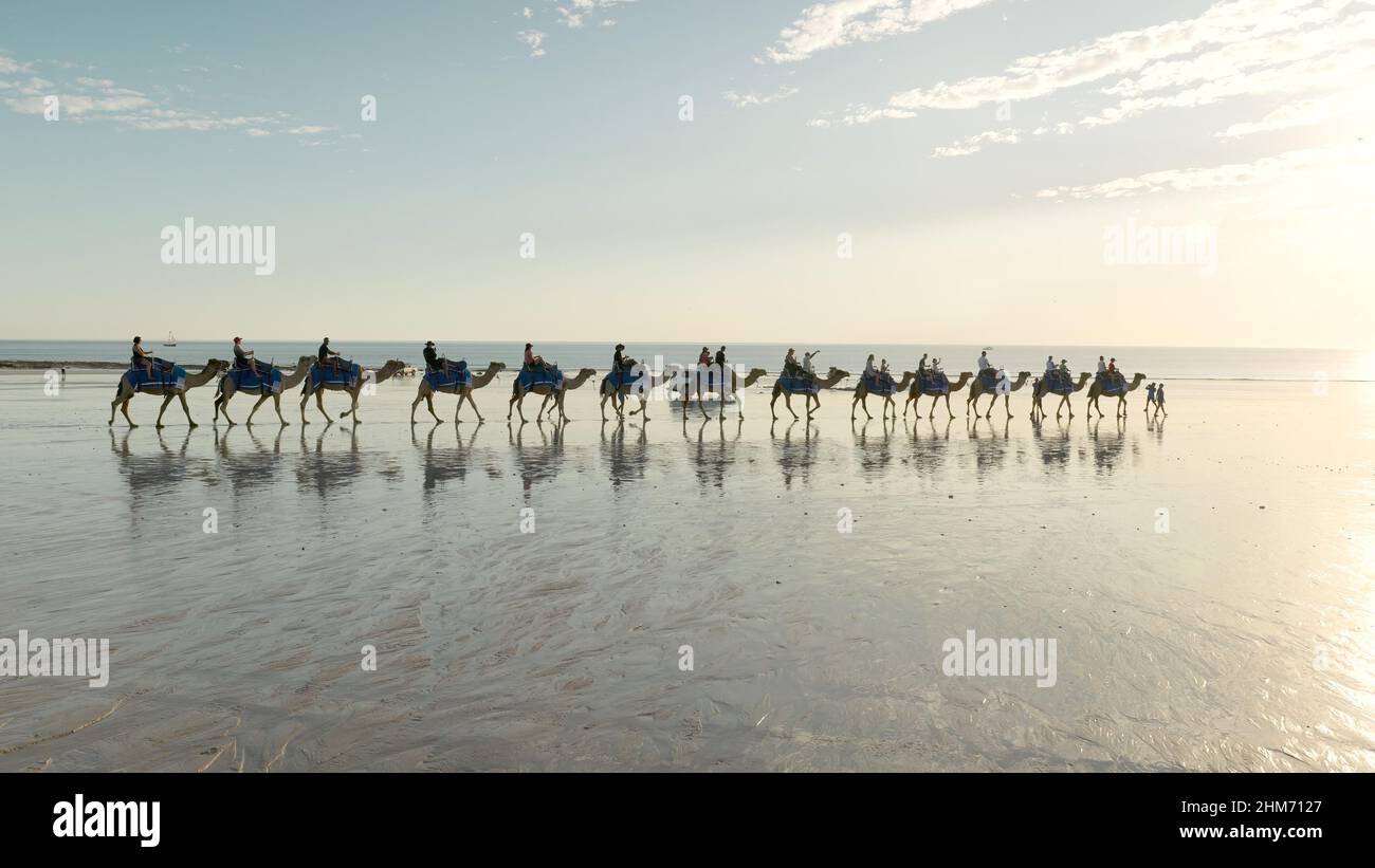 tourists set off on a sunset camel ride along cable beach at broome ...