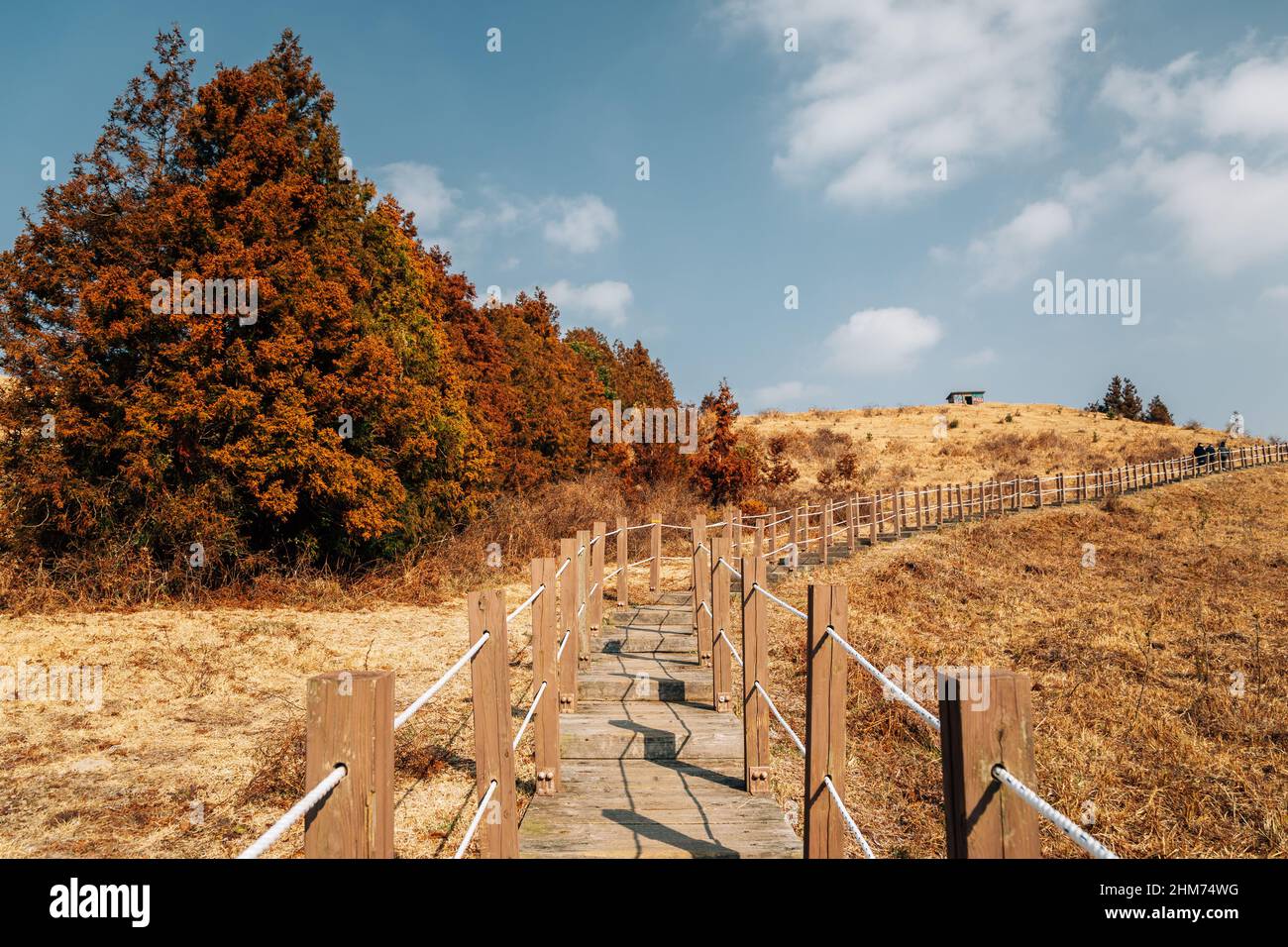 Yeongju Mountain Oreum volcanic cone hiking trail road at winter in ...