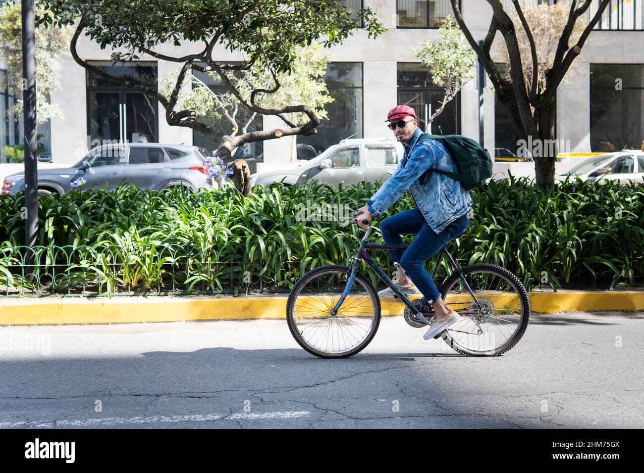 Businessman lifestyle hi-res stock photography and images - Alamy