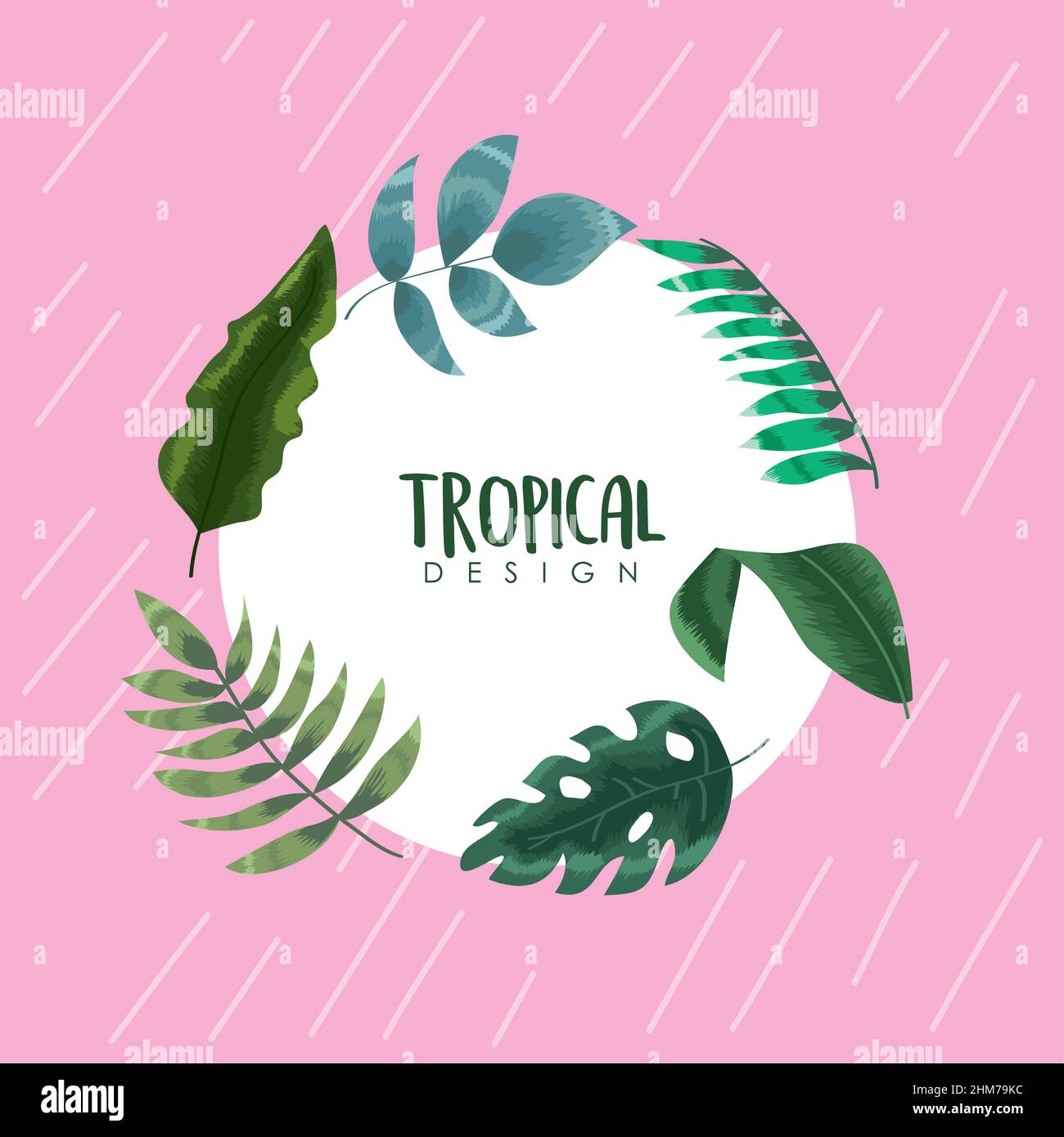 circular frame tropical design decoration Stock Vector Image & Art - Alamy