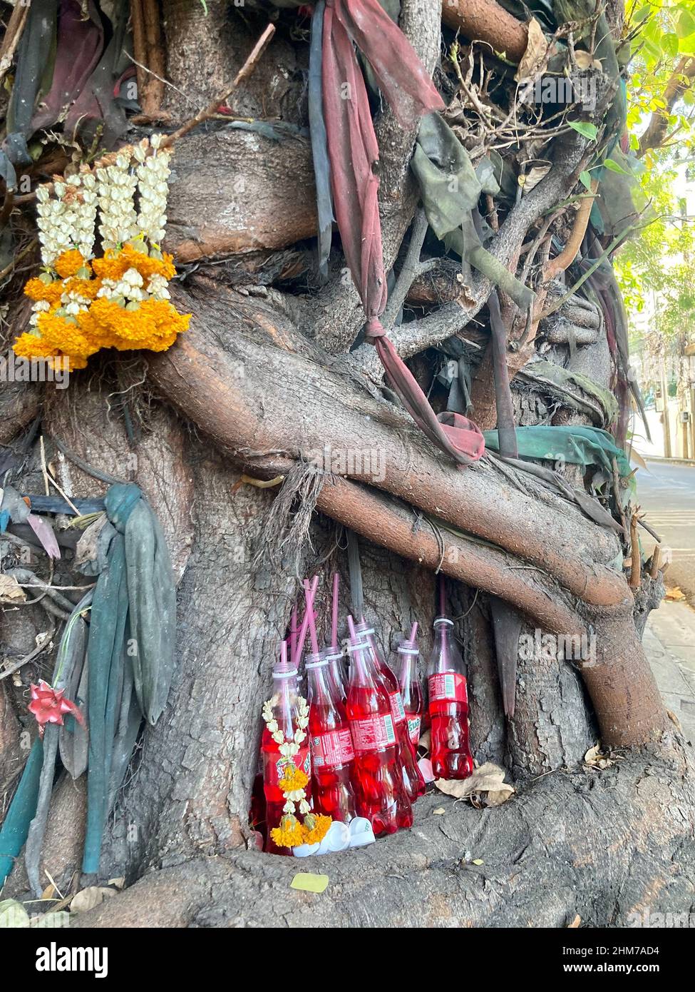 Bangkok, Thailand. 07th Feb, 2022. Red Fanta bottles stand in front of ...