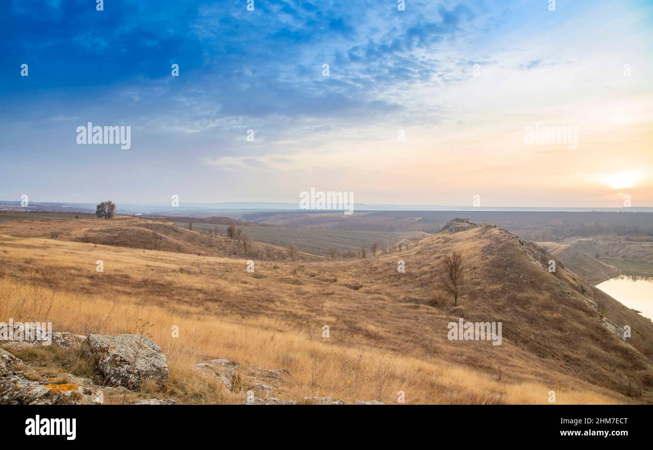 Trees on hill and dry grass create a beautiful wilderness scenery Stock ...