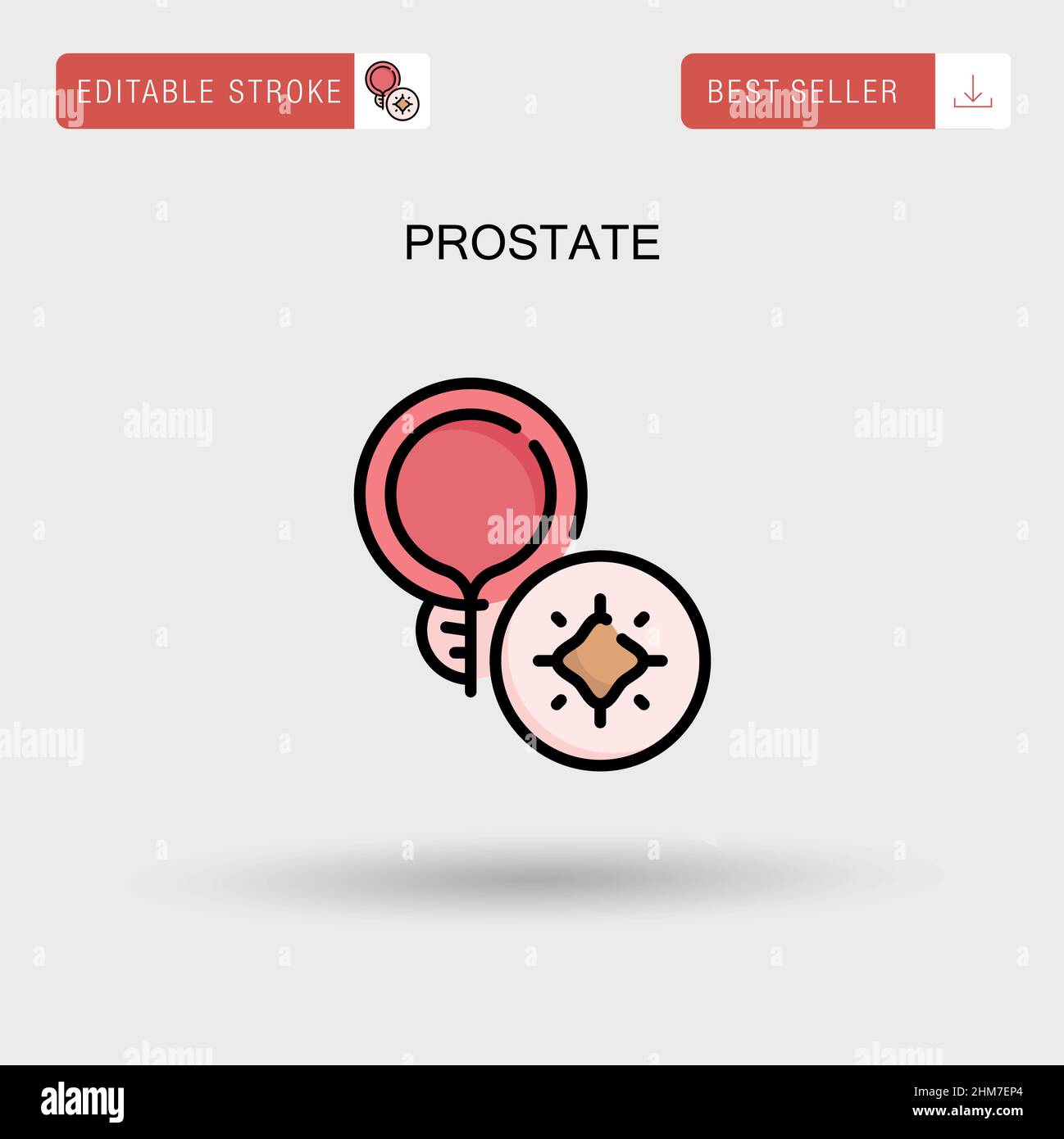 Prostate Simple vector icon Stock Vector Image & Art - Alamy