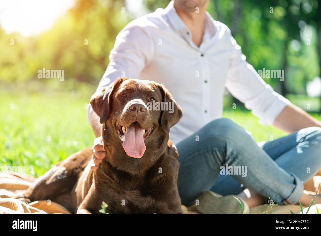 Dog with owner in the park Stock Photo - Alamy
