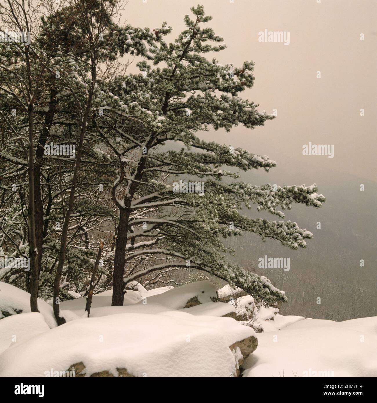 Annapolis Rock overlook via the Appalachian Trail in Maryland Stock ...