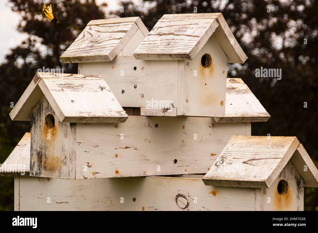 Blue bird houses apartment building for birds Stock Photo - Alamy