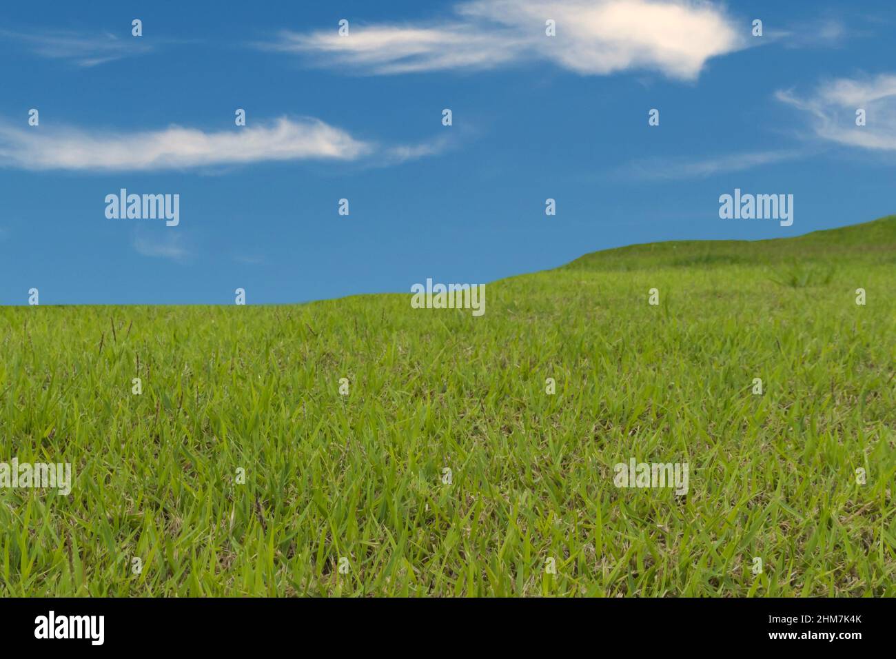 Landscape view of green grass on slope with blue sky and clouds ...