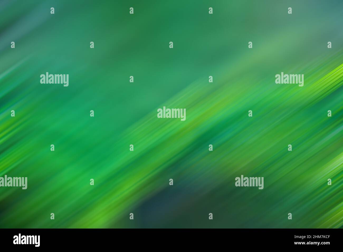 abstract blur green color for background,blurred and defocused effect ...