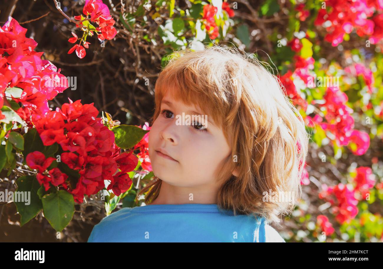 Carefree kid sniffing flowers. Cute child at spring park. Kids flower ...
