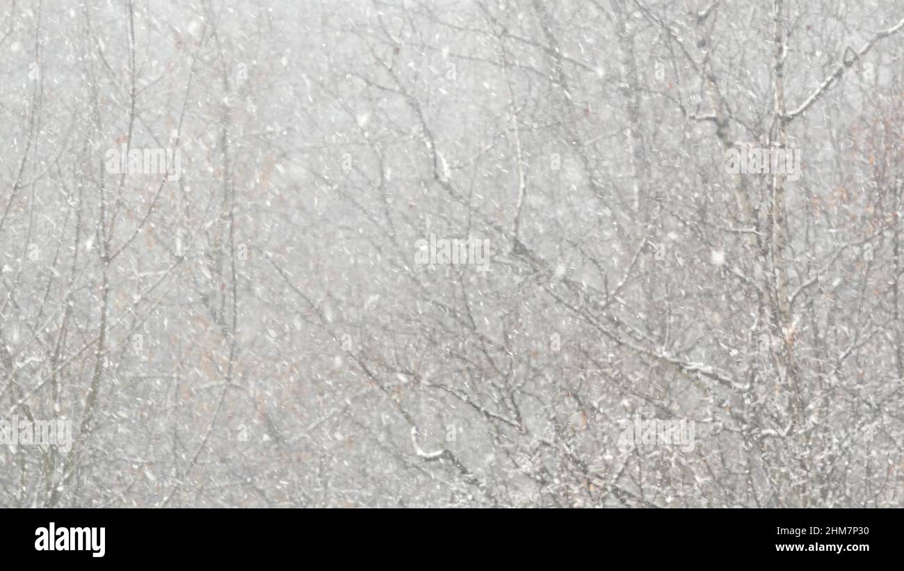 Cinemagraph falling snow in winter hi-res stock photography and images ...
