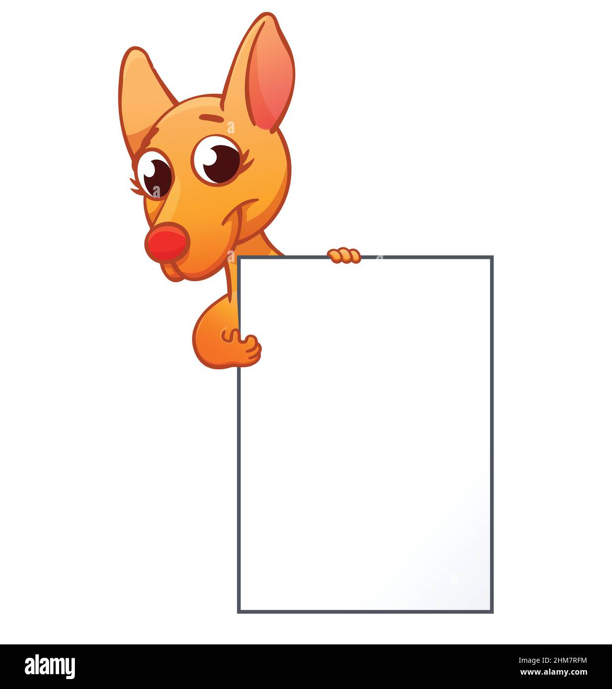 Cute smiling happy cartoon kangaroo joey character holding blank sign ...