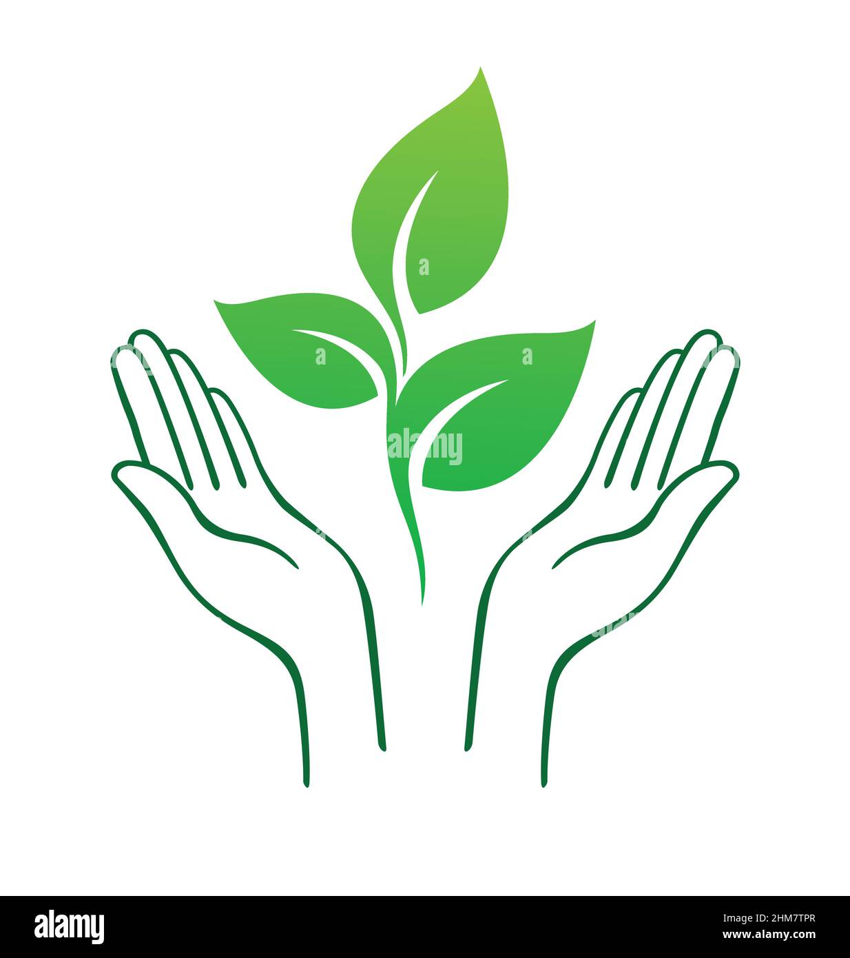 simple open hands outline supporting cradling nurturing young green ...