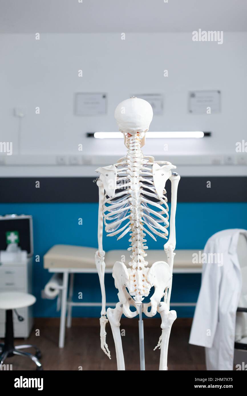 Back shot of human body skeleton standing in empty hospital office room ...
