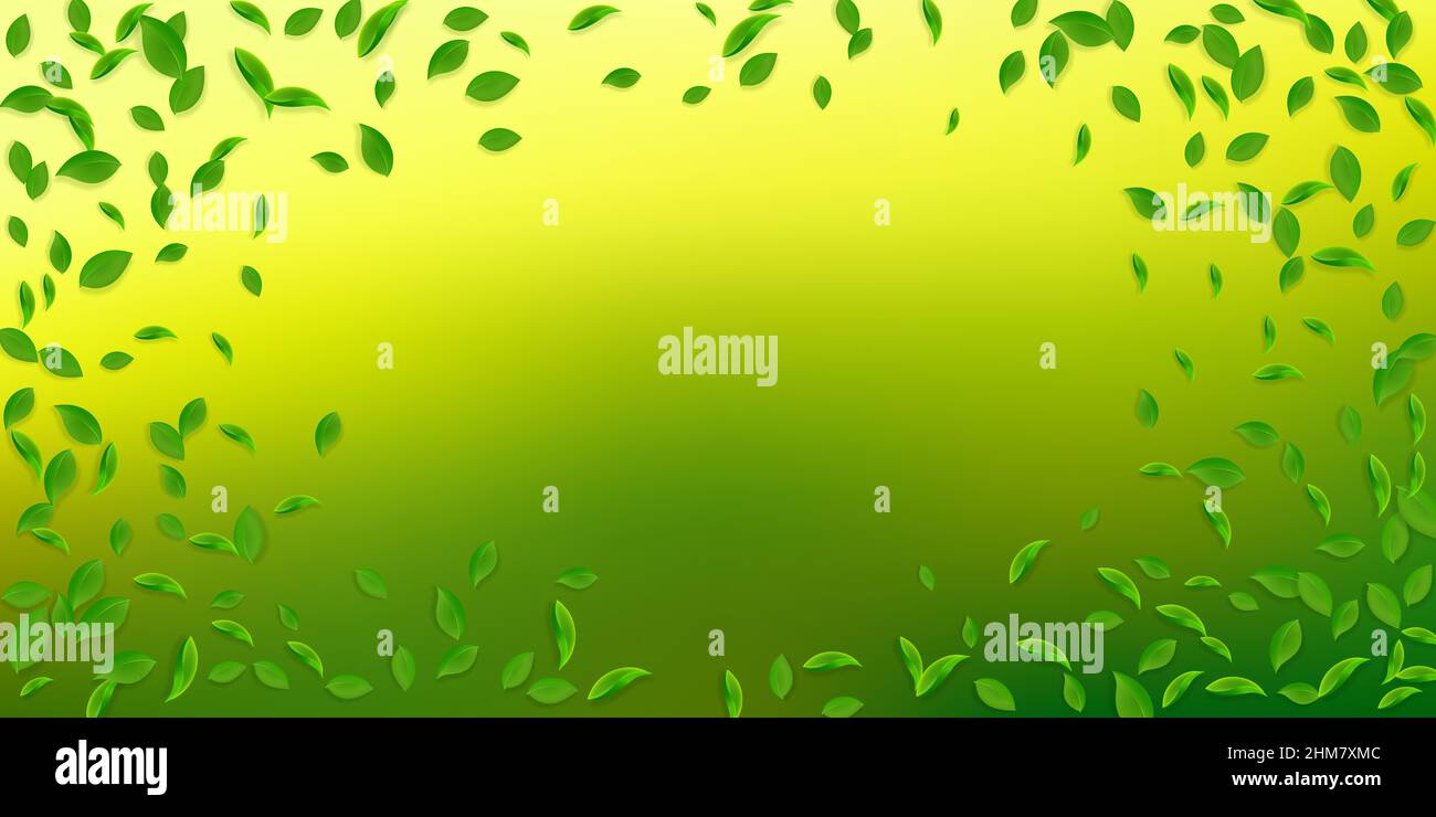 Falling green leaves. Fresh tea chaotic leaves flying. Spring foliage ...