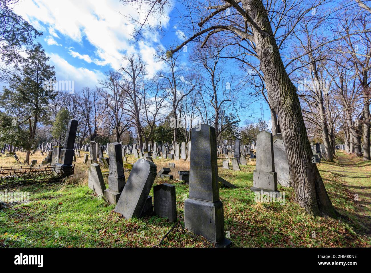 vienna, austria, 02 feb 2022, graves at the old jewish cemetery at the ...
