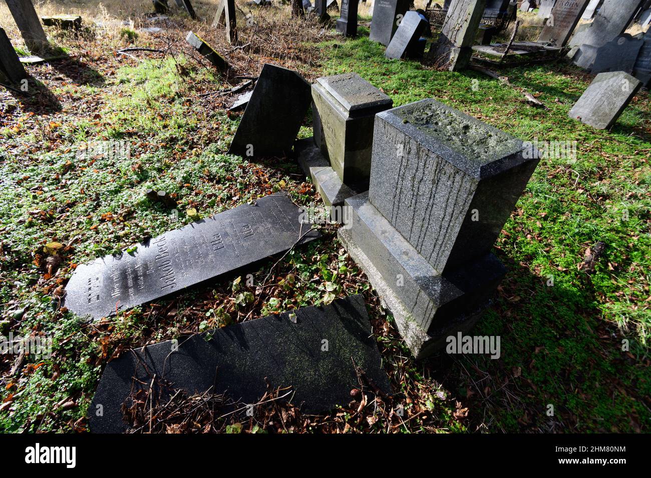 vienna, austria, 02 feb 2022, graves at the old jewish cemetery at the ...
