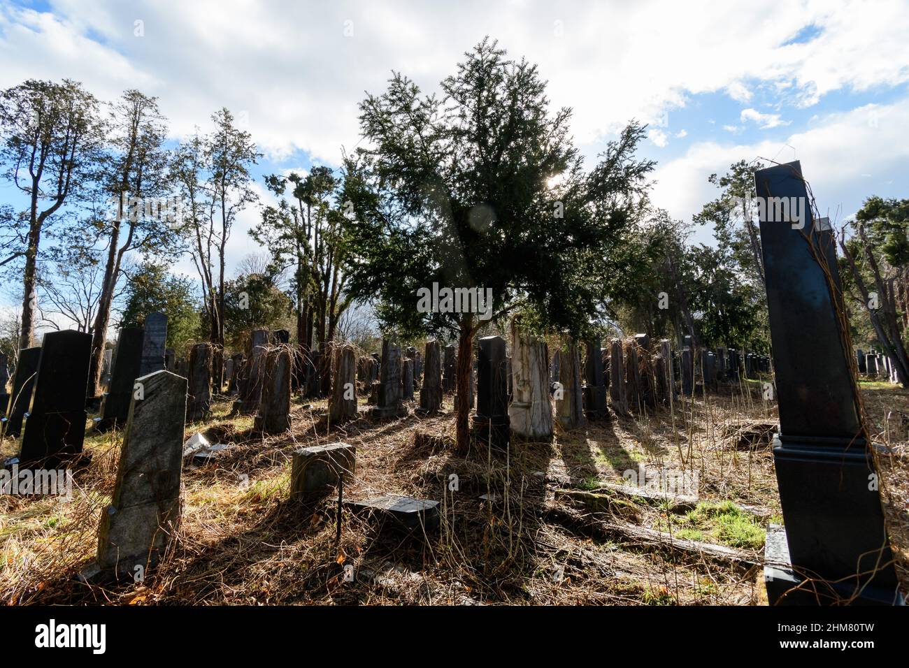vienna, austria, 02 feb 2022, graves at the old jewish cemetery at the ...