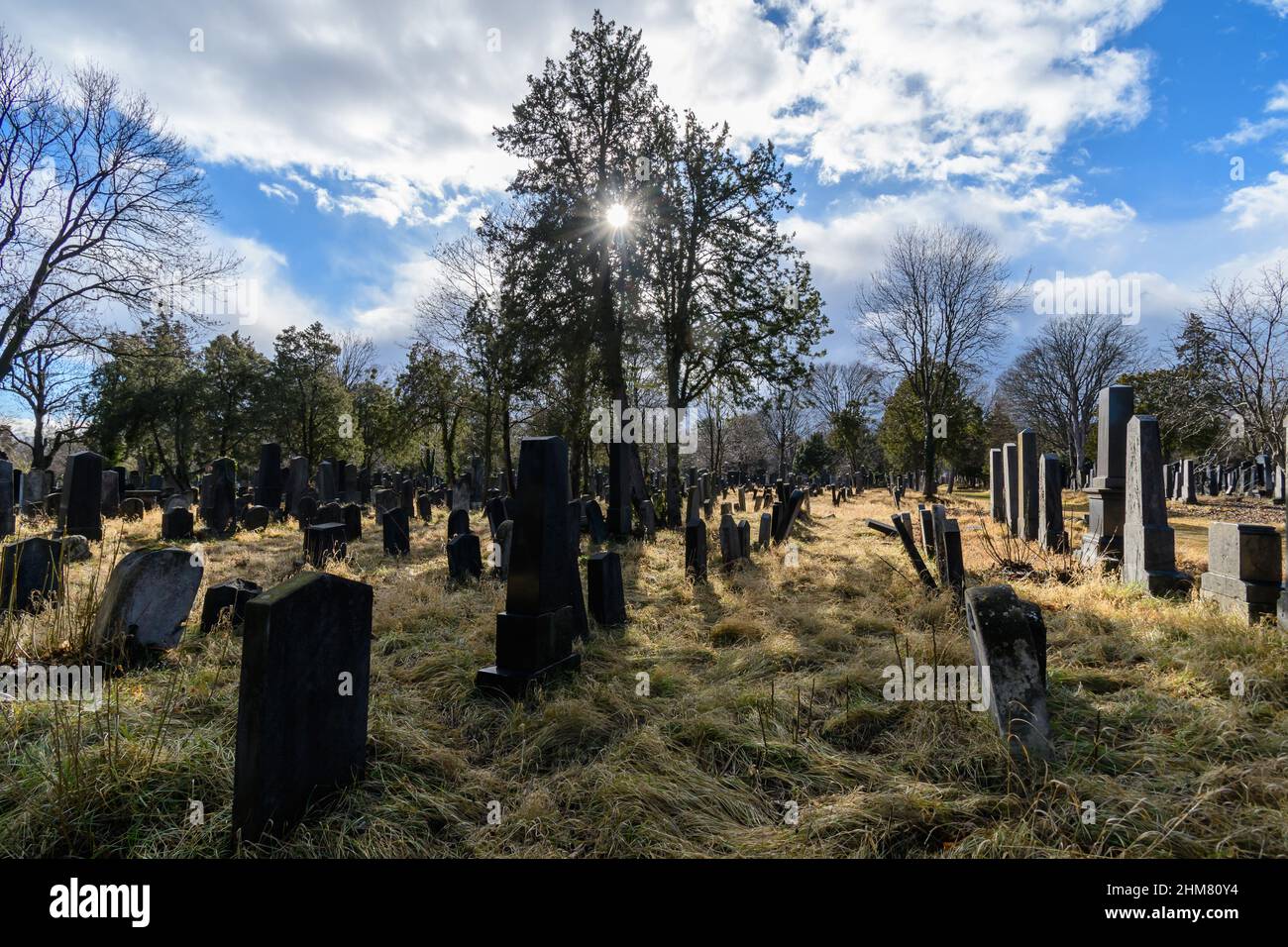 vienna, austria, 02 feb 2022, graves at the old jewish cemetery at the ...