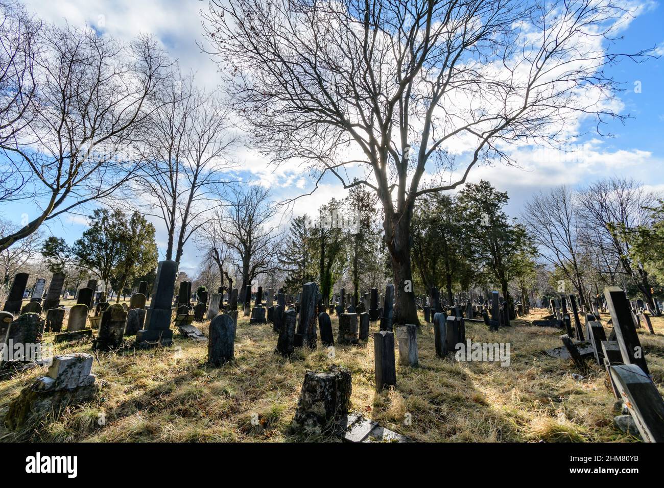 vienna, austria, 02 feb 2022, graves at the old jewish cemetery at the ...