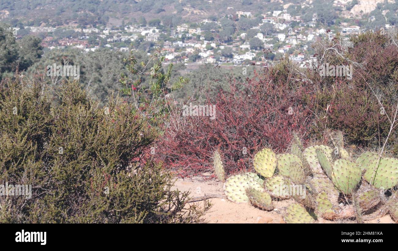 Torrey Pines state park, natural reserve for ecotourism, trekking and ...