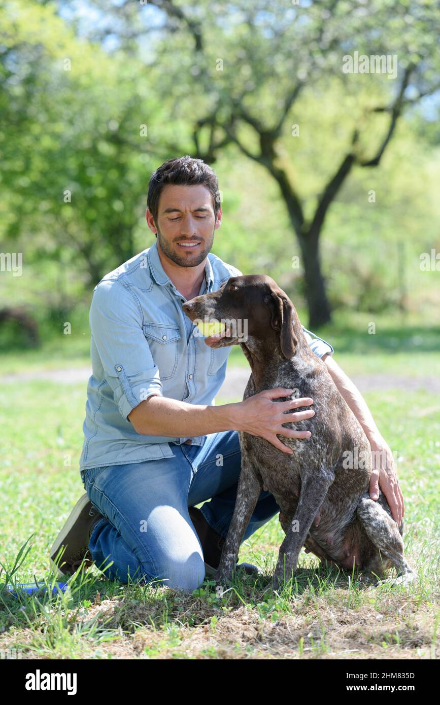 man playing ball with his pointer dog Stock Photo - Alamy