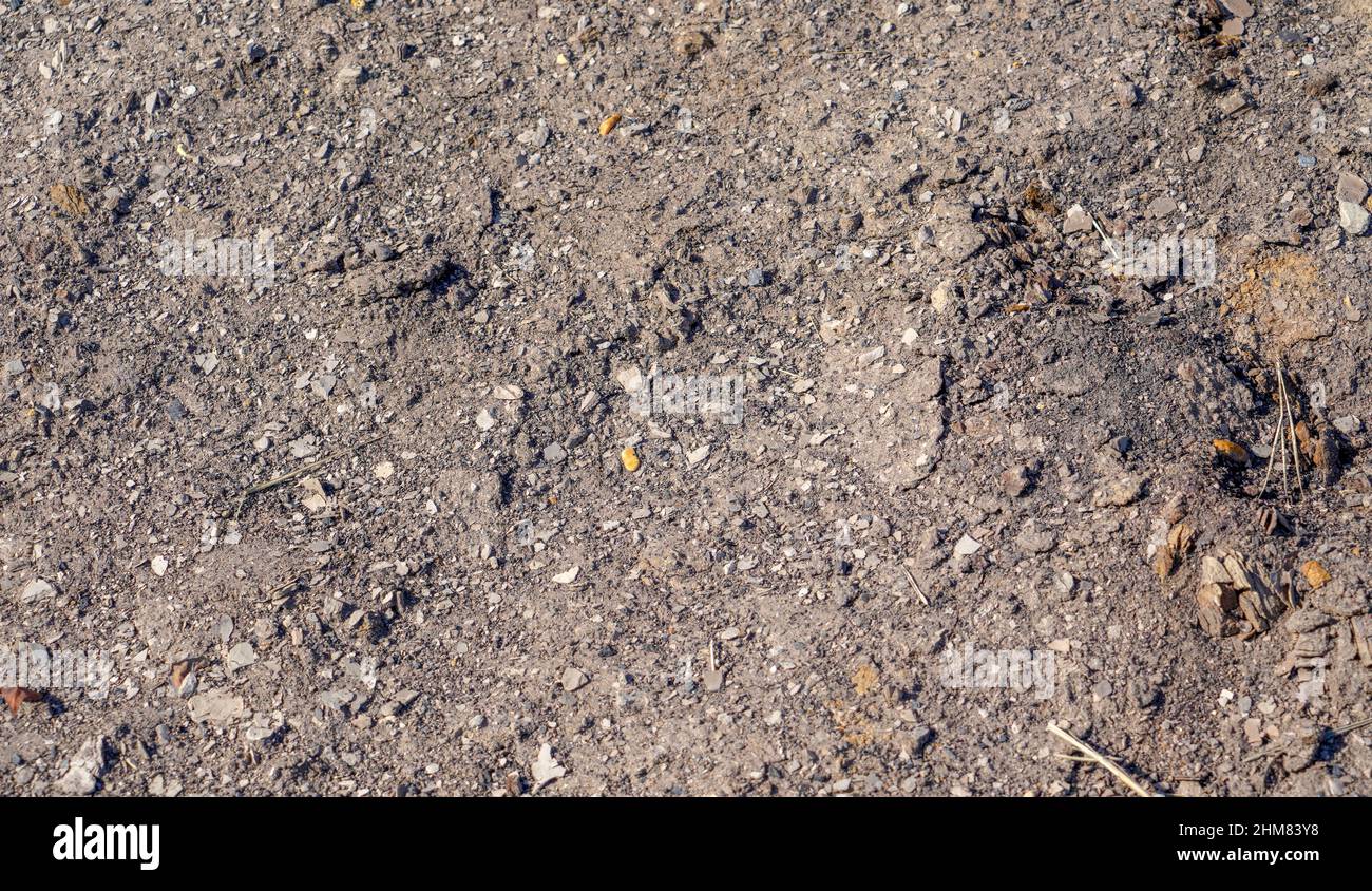 Soil from the quarry as a waste product and for versatile use in the ...