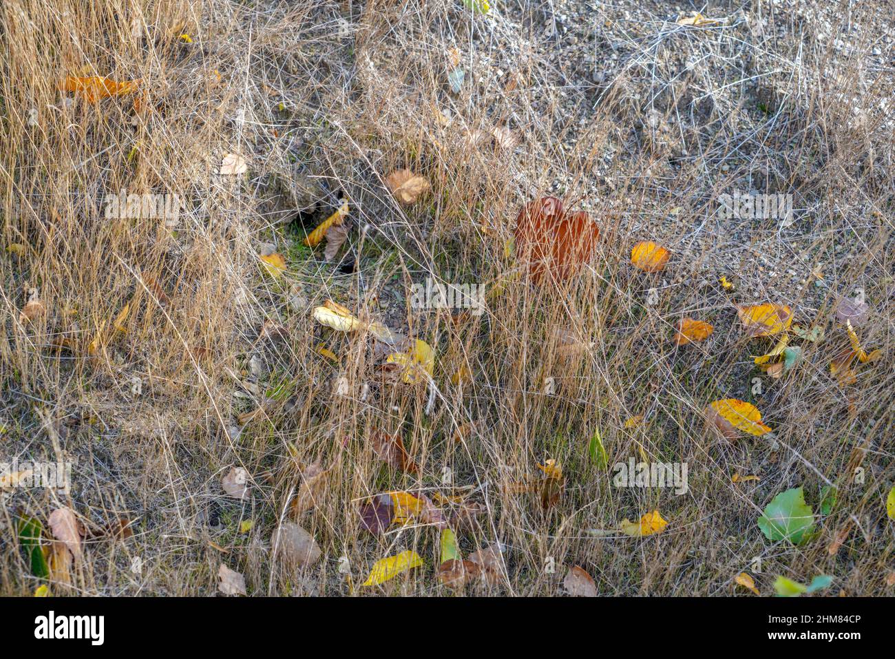 Soil from the quarry as a waste product and for versatile use in the ...