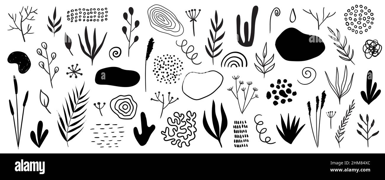 Organic Graphic Design