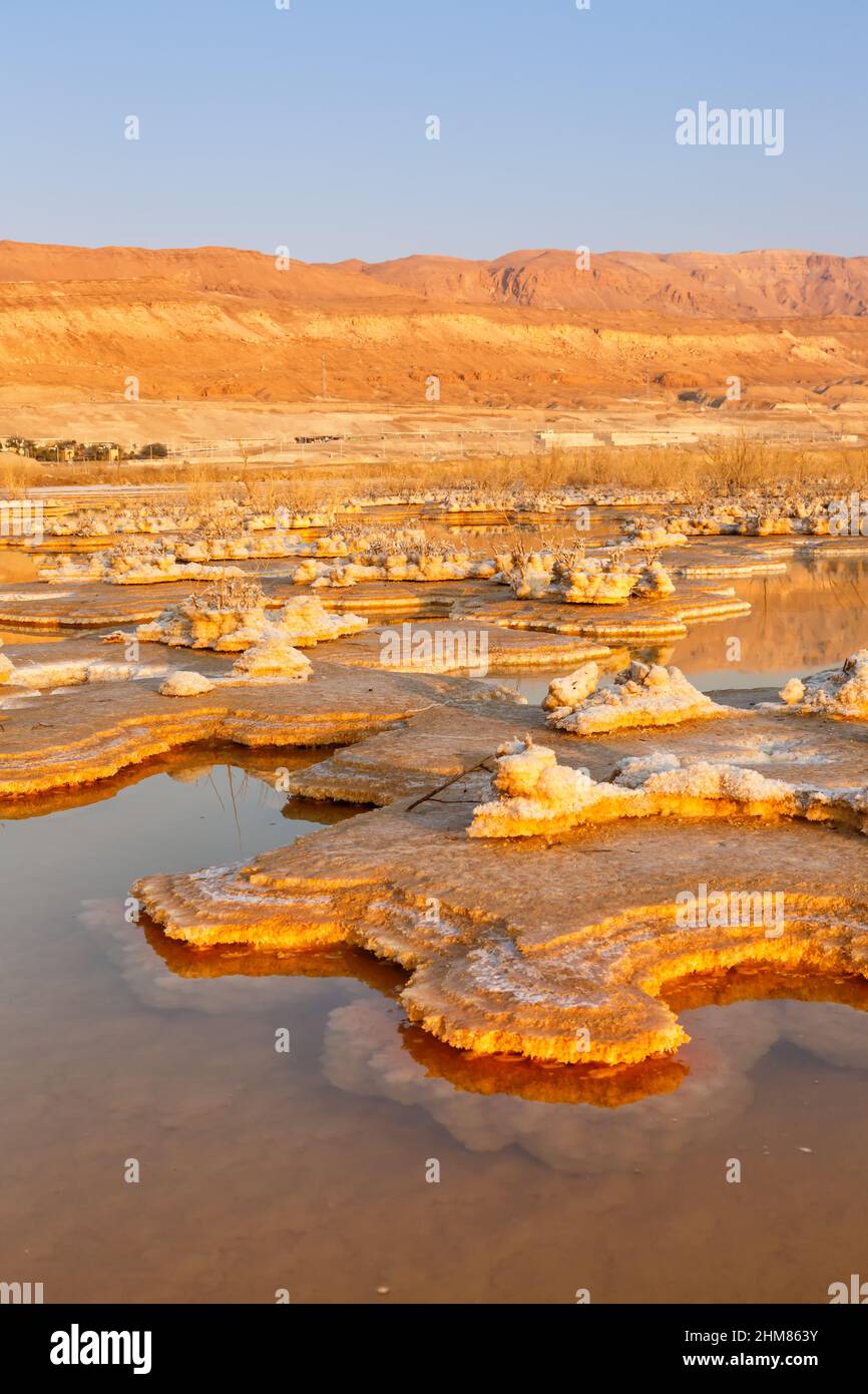 Dead Sea Israel salt islands sunrise morning portrait format landscape ...