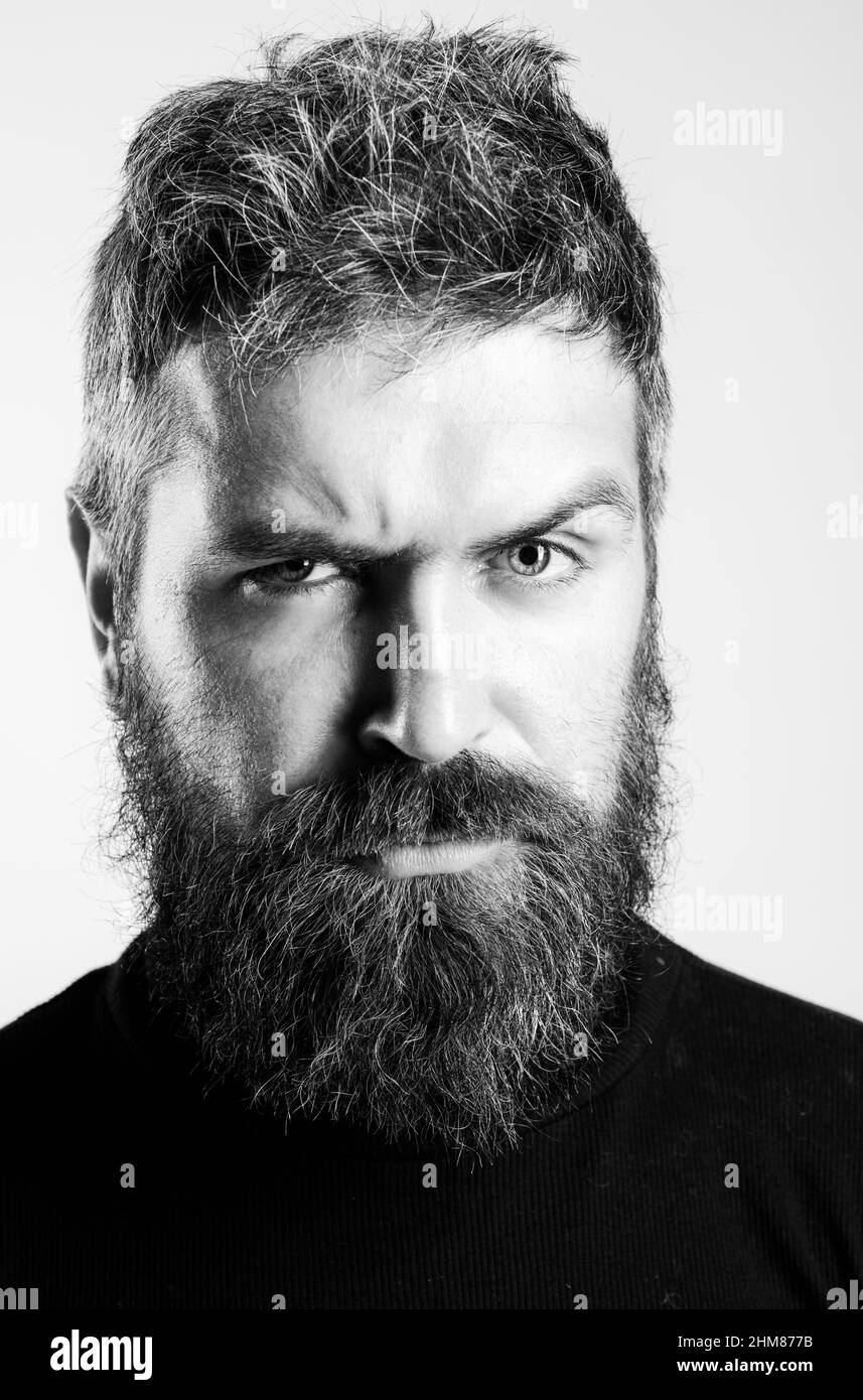 Close-up image of serious brutal bearded man on white background ...