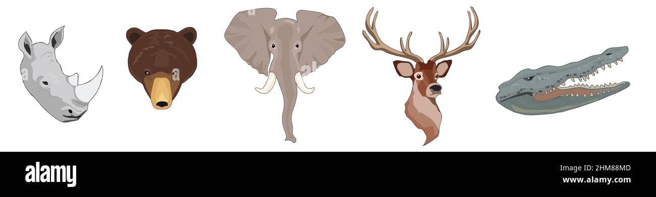 the wild animals head potraits isolated Stock Photo - Alamy