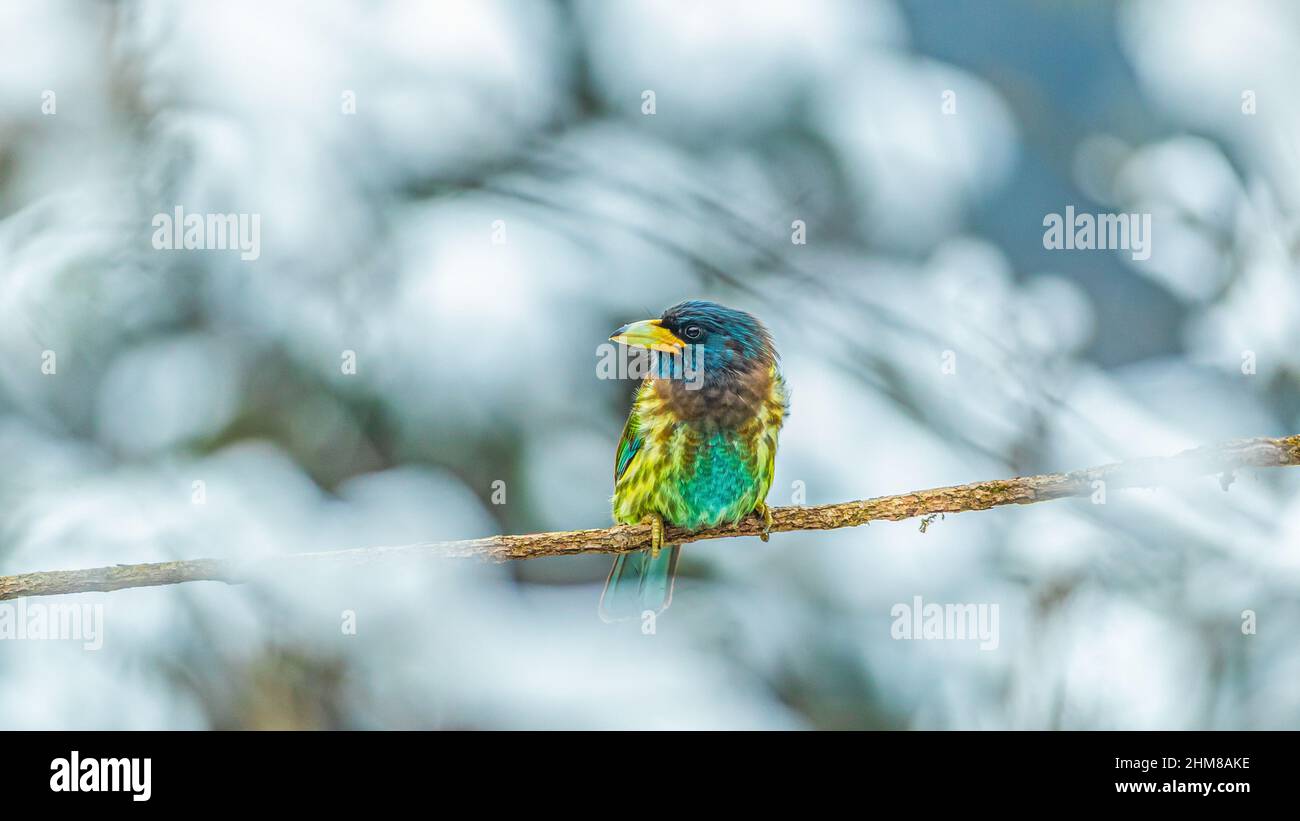 2hm8ake hi-res stock photography and images - Alamy