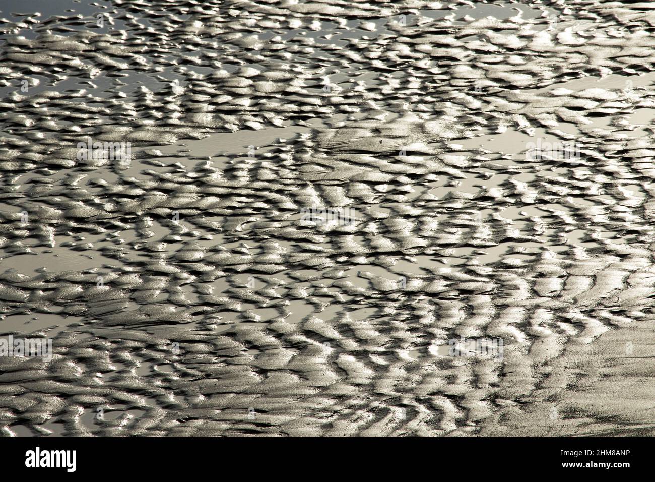 The wave action of the retreating tide has created created ripples in a ...